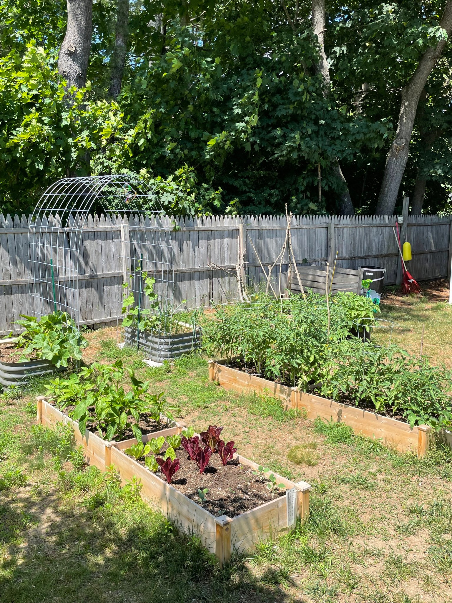 What is Homesteading?